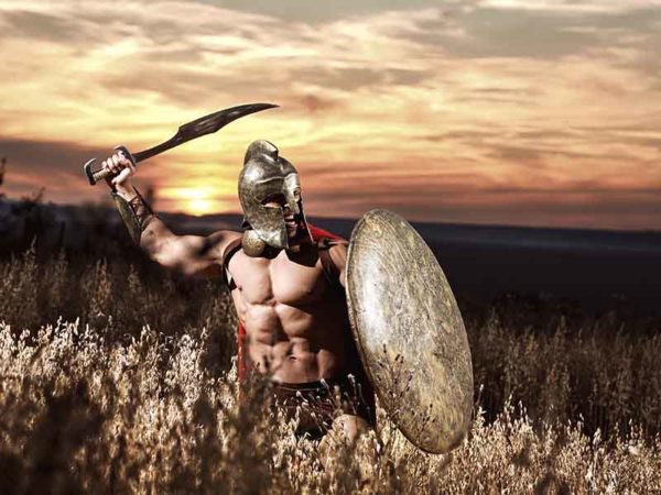 Best Spartan Warrior Program - Old School Labs
