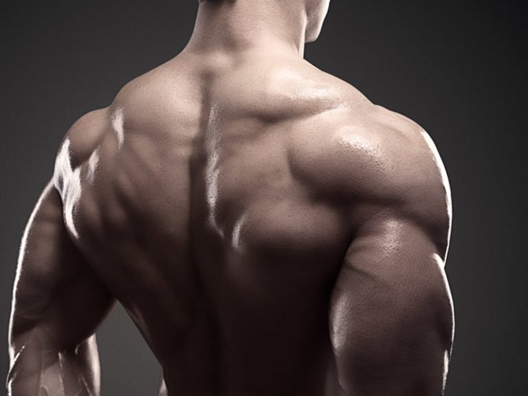 10 Best Deltoid Workouts and Exercises Using Machines - Old School Labs