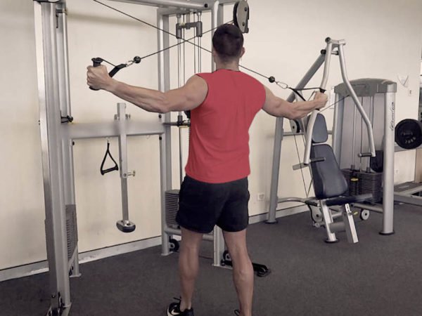 10 Best Deltoid Workouts and Exercises Using Machines - Old School Labs