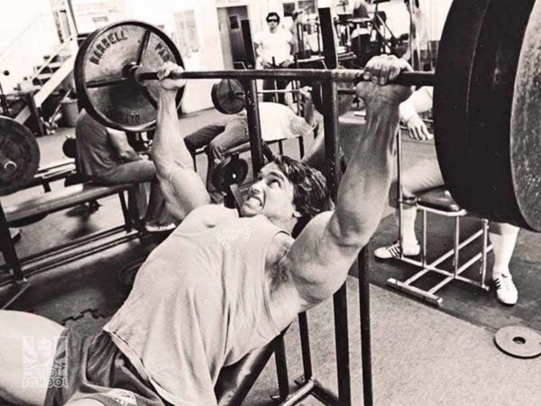 Chest Press vs. Bench Press: Which Should You Use? - Old School Labs