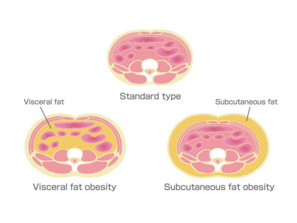 How To Get Rid of Visceral Fat - Old School Labs