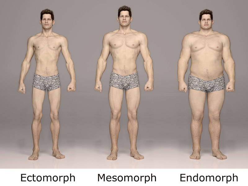 Ectomorph Body Type Guide To Bodybuilding Diet Old School Labs Ectomorph Body Type Guide To Bodybuilding Diet Old School Labs