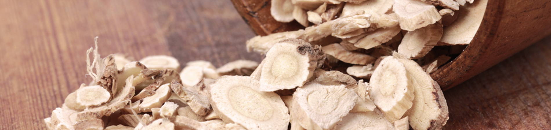 What is Astragalus? Benefits, Side Effects, & Dosage - Old School Labs