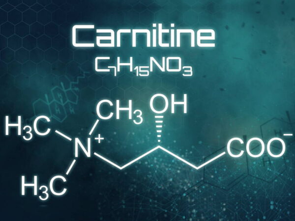 L-Carnitine: Benefits, Side-Effects, & Dosage Recs - Old School Labs