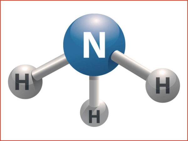 What Is Ornithine? Potential Benefits & Drawbacks - Old School Labs