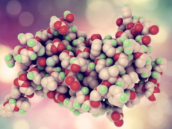 What Is Ornithine? Potential Benefits & Drawbacks - Old School Labs