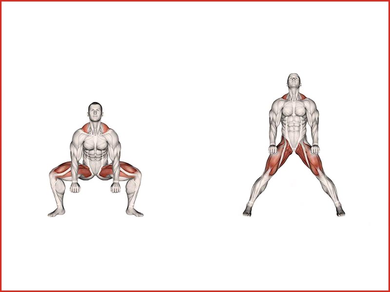 Sumo Squat Muscles Worked