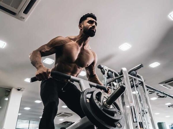 T-Bar Rows: Form & Variants [Instructions] - Old School Labs